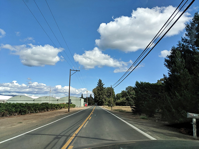 Country roads that actually take you home, or at least somewhere with significantly less traffic than your last Bay Area commute.
