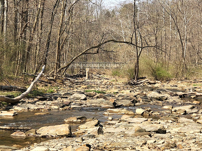 Downstream drama &ndash; where water meets stone in an ongoing geological negotiation that's been millions of years in the making.