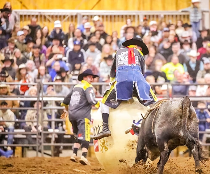Roughrider Rodeo delivers authentic Ozark entertainment, proving that retirement in Neosho doesn't mean giving up excitement&mdash;just high-priced tickets.