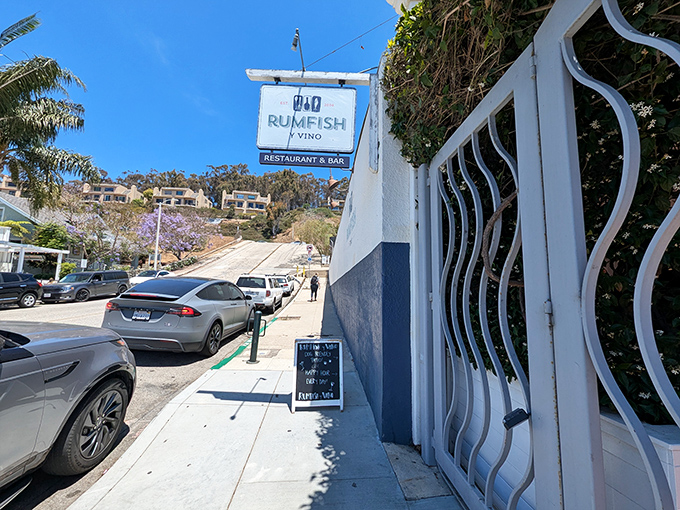 Rumfish y Vino brings coastal cuisine without coastal markup&mdash;where seafood tastes like the ocean rather than like your credit card statement.