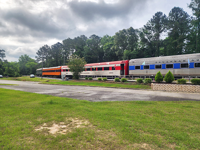 All aboard the SAM Shortline Excursion Train! These vintage cars don't just travel through Georgia&mdash;they travel through time.