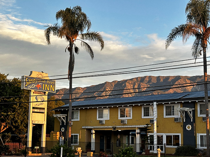 Sandyland Reef Inn glows in the magic hour light, with mountains turning copper-colored behind it. Budget accommodations with million-dollar views.
