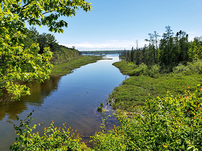 The kind of waterway that makes you want to build a tiny cabin and never check your email again. Wisconsin's answer to the Amazon, minus the piranhas.