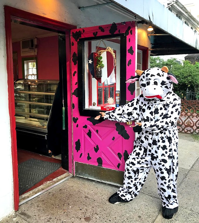 Even the door gets the full cow-print treatment, with a mascot standing guard. This level of commitment deserves a standing ovation.