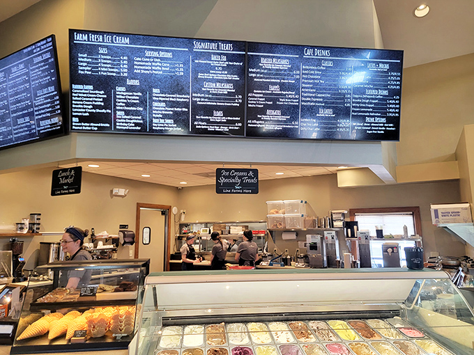 The ice cream counter, where life-changing decisions are made daily and "just one scoop" becomes a laughable concept.