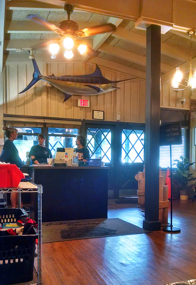 The host station crowned with a magnificent marlin &ndash; because nothing says "we take seafood seriously" quite like a trophy fish.