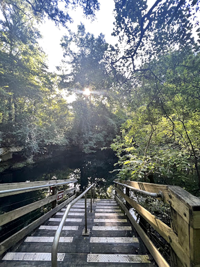 Your descent into paradise begins here, one carefully constructed step at a time.