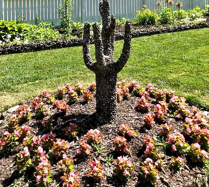 Stone cacti that never need watering but always provide wonder for curious garden visitors.