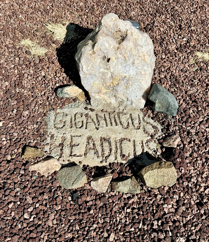 Even the marker rocks get the star treatment here&mdash;this stone autograph confirms you've officially entered the realm of roadside royalty.