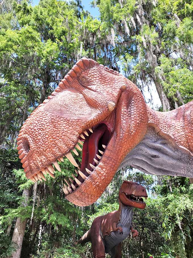 "I'm pretty sure I saw you in that movie!" This T-Rex and its baby companion create the perfect Florida family portrait, Spanish moss included.