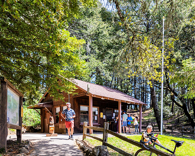 Tamalpais State Park's visitor center &ndash; the gateway to adventures that make screen time seem like the poor substitute it is.