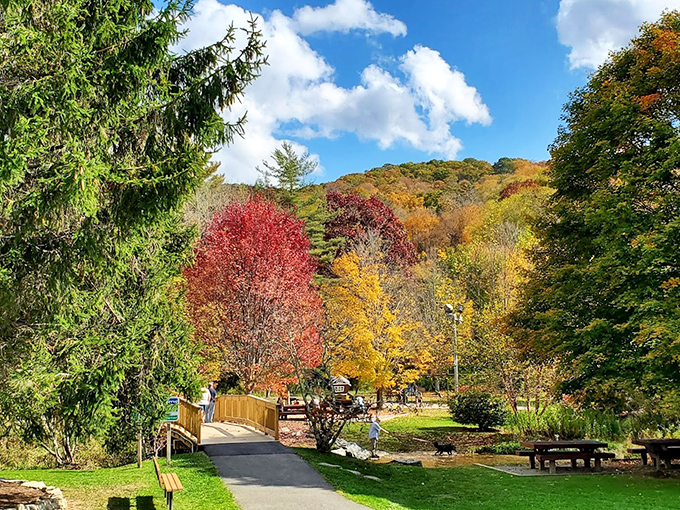 Autumn in Banner Elk paints the landscape with colors so vibrant they'd make a box of crayons feel professionally inadequate.
