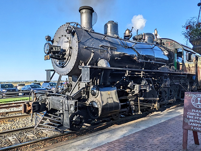 This magnificent beast of steel and steam stands ready for departure, its mechanical muscles tensed to pull passengers into yesterday.