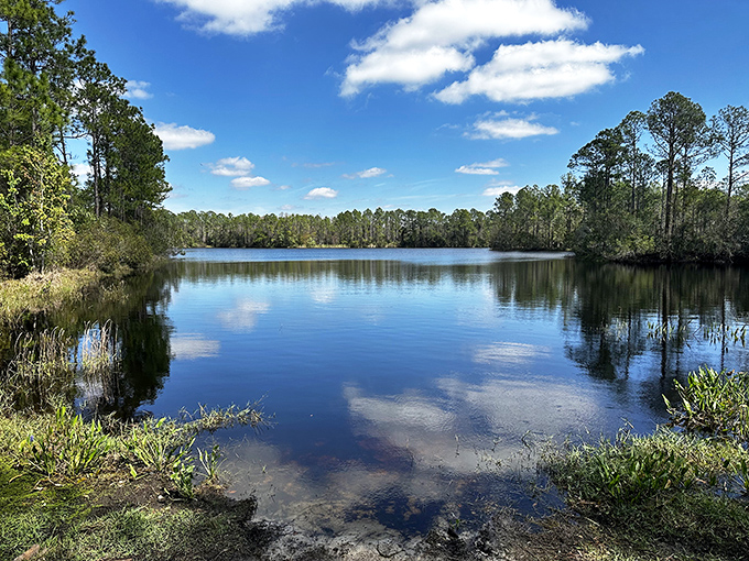 Tiger Bay State Forest offers mirror-like waters reflecting Florida's wild soul. Nature's version of a spa day, minus the cucumber water and hefty bill. 