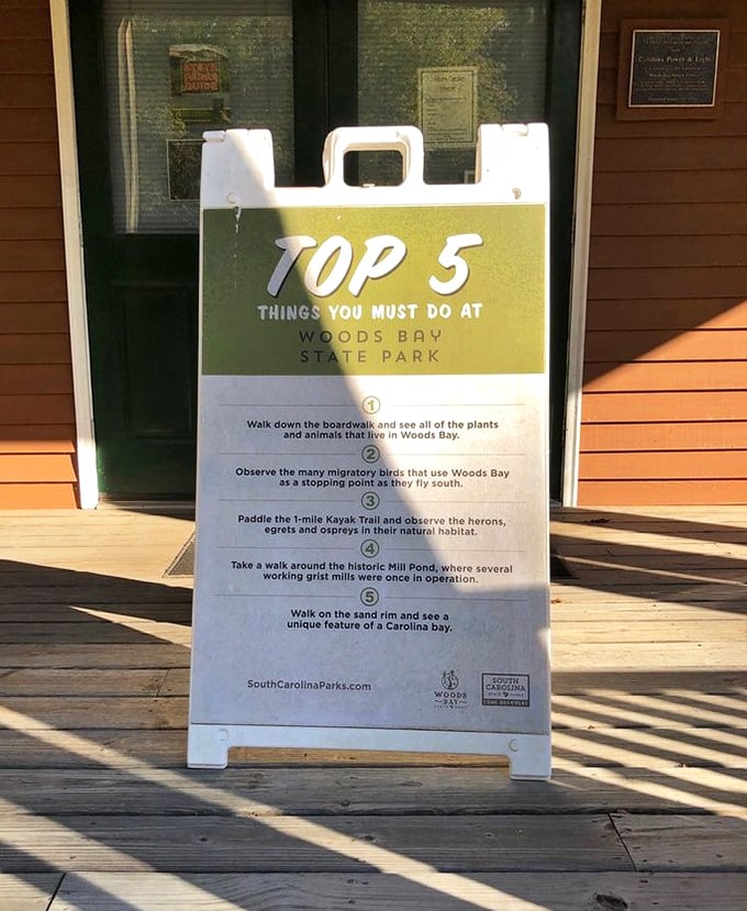 The park's greatest hits list - five must-do experiences that capture the essence of this Carolina bay ecosystem.