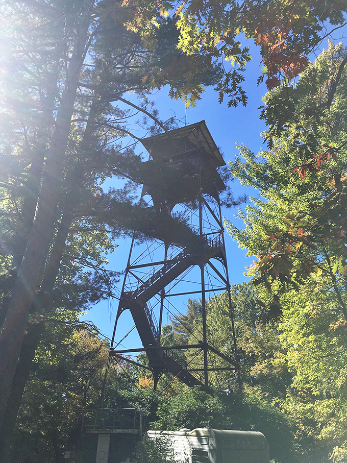 This fire tower reaches toward the sky, a reminder of conservation's vigilant guardians. The ultimate treehouse for grown-ups with a purpose.