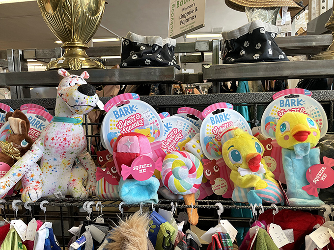 Not just toys, but future family heirlooms waiting for their next adventure. That stuffed duck might become someone's cherished childhood companion.