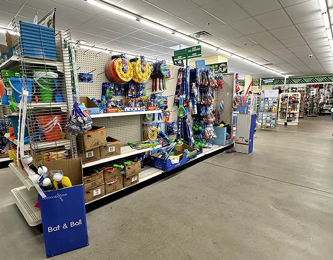 Summer fun doesn't require a second mortgage at the seasonal aisle, where beach toys and outdoor essentials await their moment in the sun.