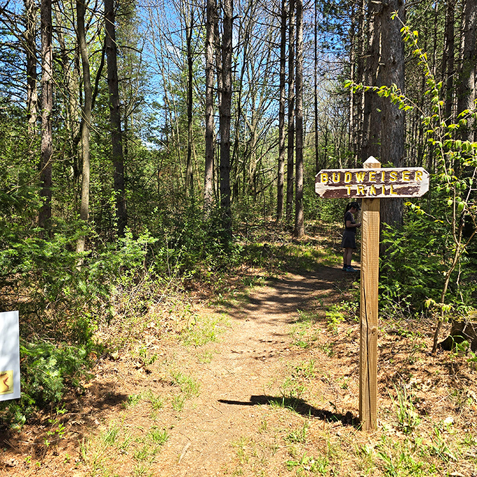 The path to the Budweiser team&mdash;because in Wisconsin, all roads eventually lead to something beer-related.