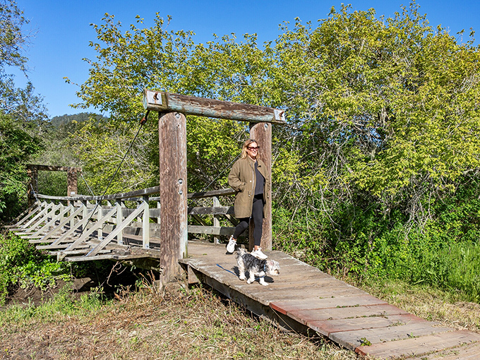 A rustic footbridge invites exploration with your four-legged friend, no expensive hiking gear or trail pass required.