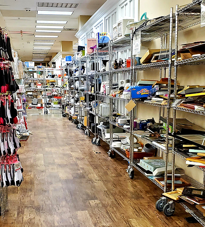 The miscellaneous aisle—where kitchen gadgets, office supplies, and mysteries of the universe collide in organized chaos.