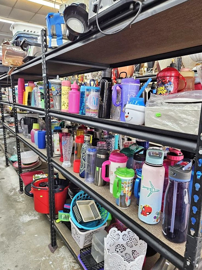 Water bottle wonderland! From kiddie cups to professional hydration systems&mdash;because staying hydrated should be both practical and personality-appropriate.