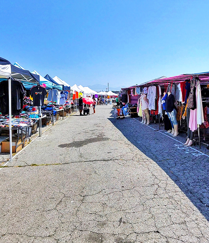 Under clear blue California skies, vendors create temporary storefronts that rival any mall. The difference? These entrepreneurs know their inventory intimately.