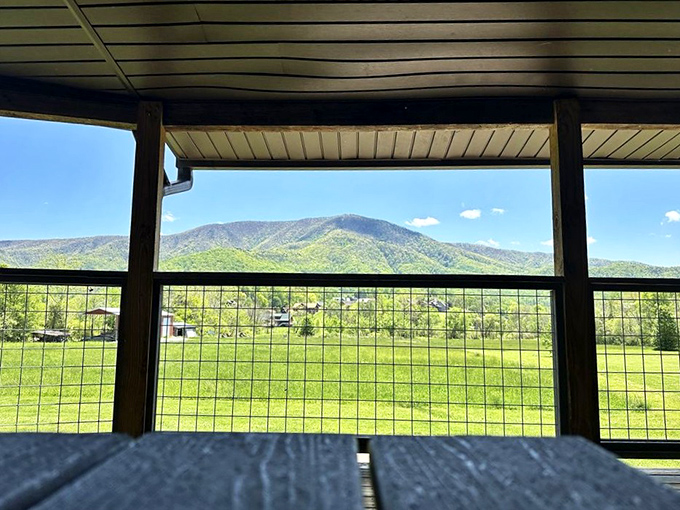 Even the outdoor view can't distract from what's on your plate&mdash;nature's nice, but have you tried the burgers?