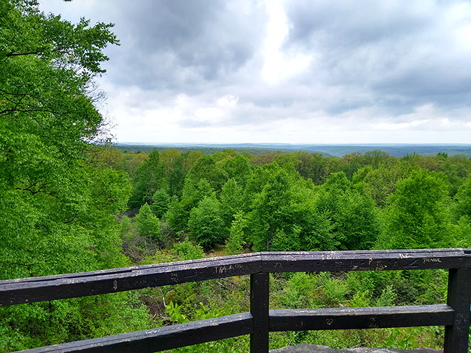 A panoramic forest vista that reminds you Pennsylvania isn't called Penn's Woods for nothing. Green therapy at its finest.