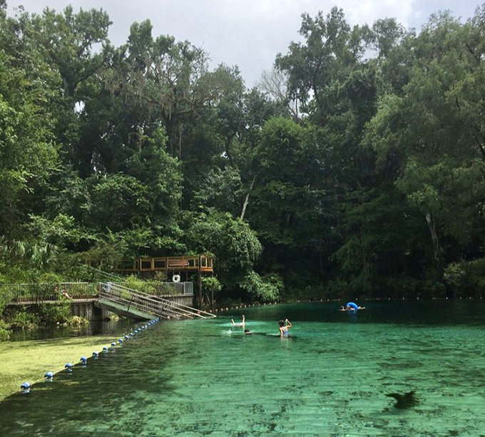 The swimming area reveals nature's perfect pool design &ndash; complete with limestone bottom, crystal water, and a canopy of ancient trees.