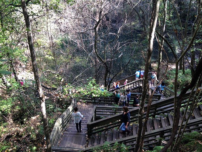 Fellow explorers navigate the wooden platforms, their expressions shifting from "why am I doing this?" to "wow, this is incredible!"
