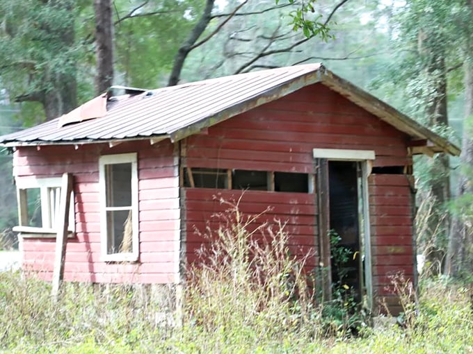 This weathered cabin has stories to tell—if only its faded red walls could speak about the families who once called Ellaville home.