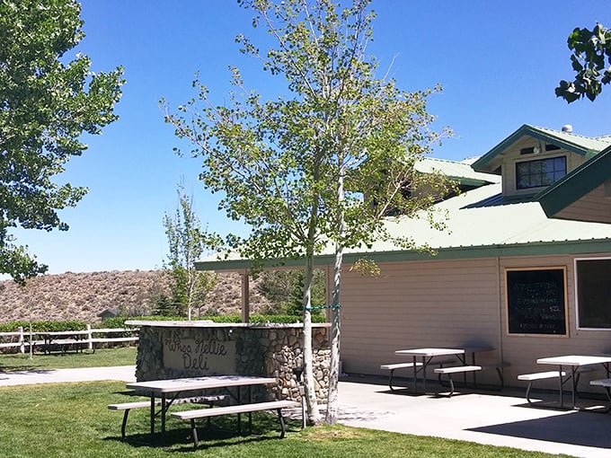 The Whoa Nellie Deli proves that sometimes the best culinary experiences happen where you least expect them &ndash; like at a gas station.