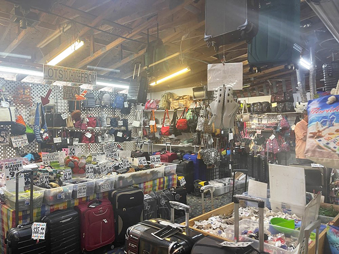 Travel essentials and beach necessities create a colorful mosaic of practicality. That suitcase might just inspire your next Florida adventure!