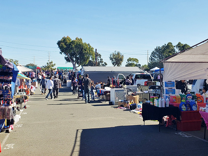 Weekend warriors navigate endless aisles of possibilities, where every turn reveals another "how is this possible" moment.