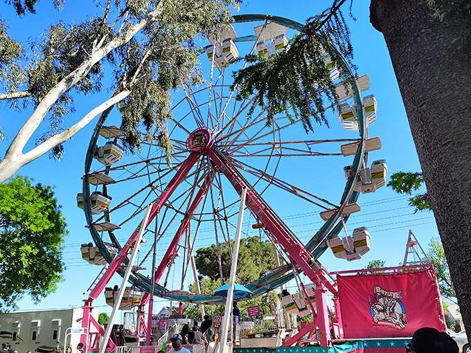 During Coalinga's festivals, carnival rides transform the town center into a whirling spectacle of lights and laughter that doesn't require a second mortgage.
