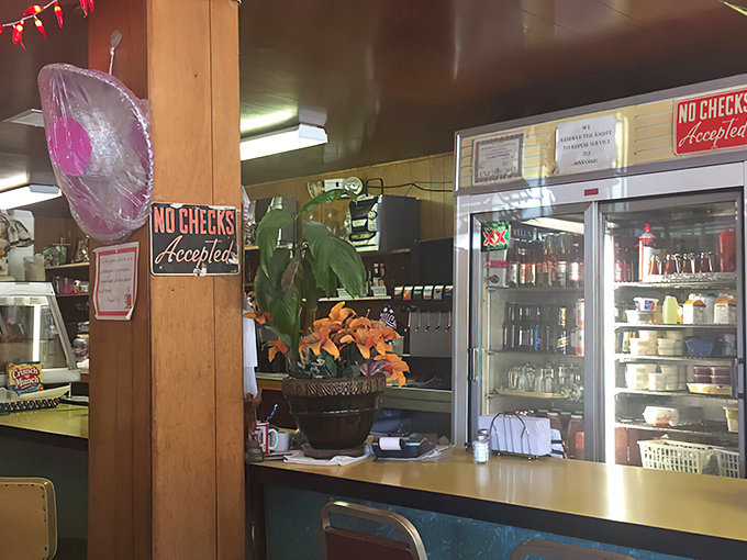 The counter area feels like the heart of the operation, where plants, memorabilia, and a "No Checks" sign create a time capsule of small-town charm.