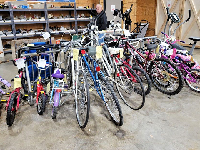 The bicycle collection offers wheels of all sizes. Someone's first ride becomes another child's adventure&mdash;the circle of thrift store life.