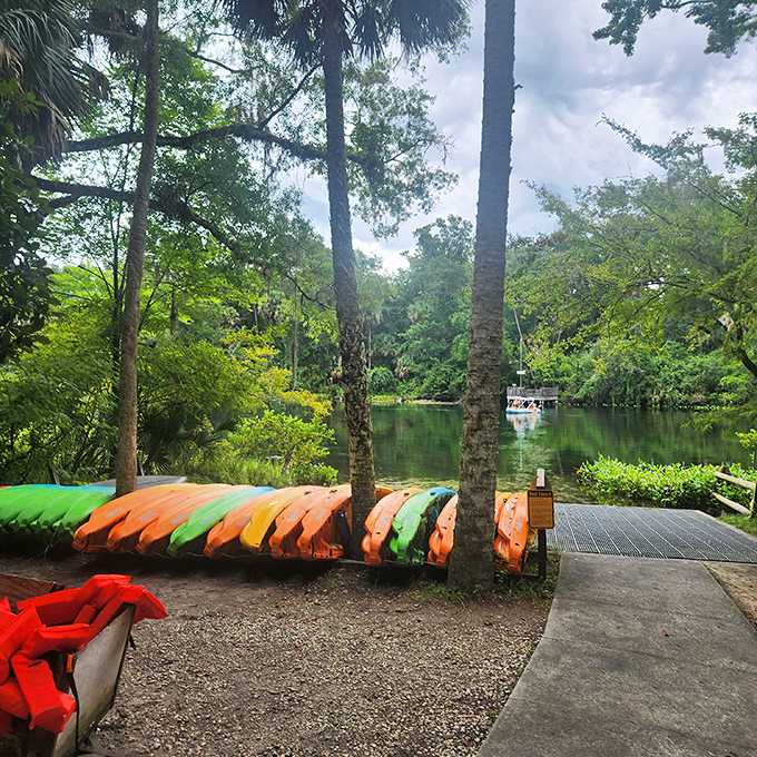 A rainbow of kayaks awaits your adventure, lined up like tropical fruit ready to be plucked for a day of exploration.