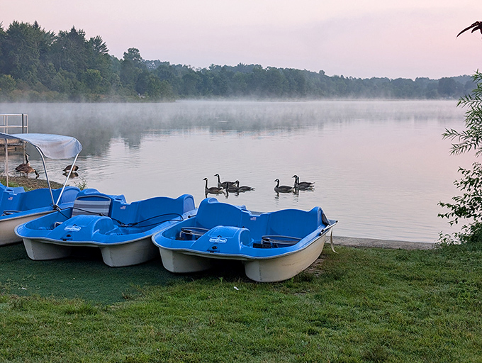 Morning fog transforms these paddle boats into vessels of adventure, waiting for captains brave enough to explore misty waters.