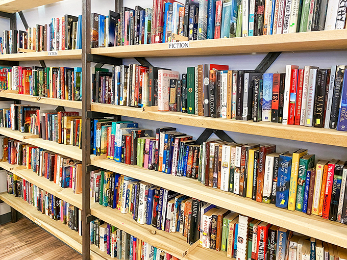 Bookworms rejoice! These shelves hold literary adventures waiting to be rediscovered, from beach reads to classics that survived high school English.