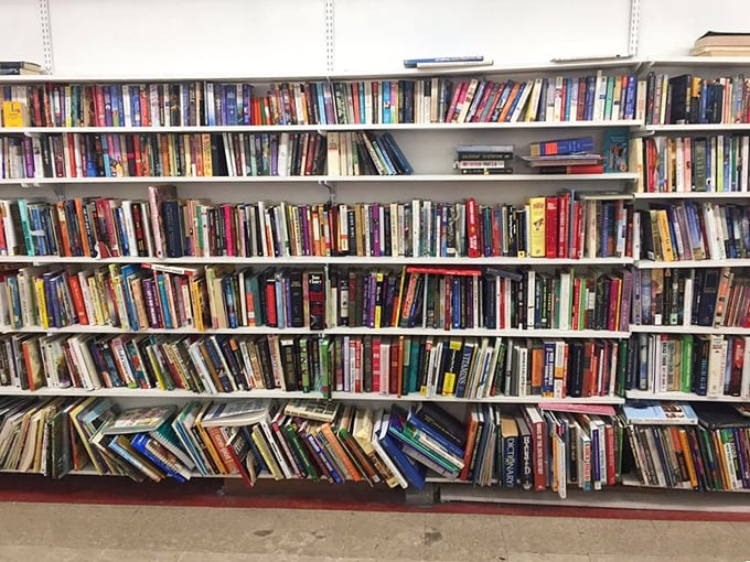 Bibliophiles beware&mdash;you might need another bookshelf after visiting this literary goldmine. Each spine represents a world waiting to be rediscovered.
