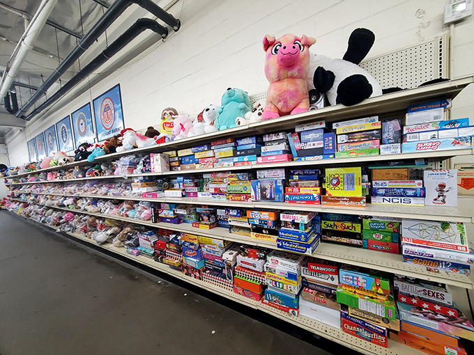 Board game bonanza meets stuffed animal sanctuary. This aisle promises both nostalgic game nights and cuddly companions for the young and young-at-heart.