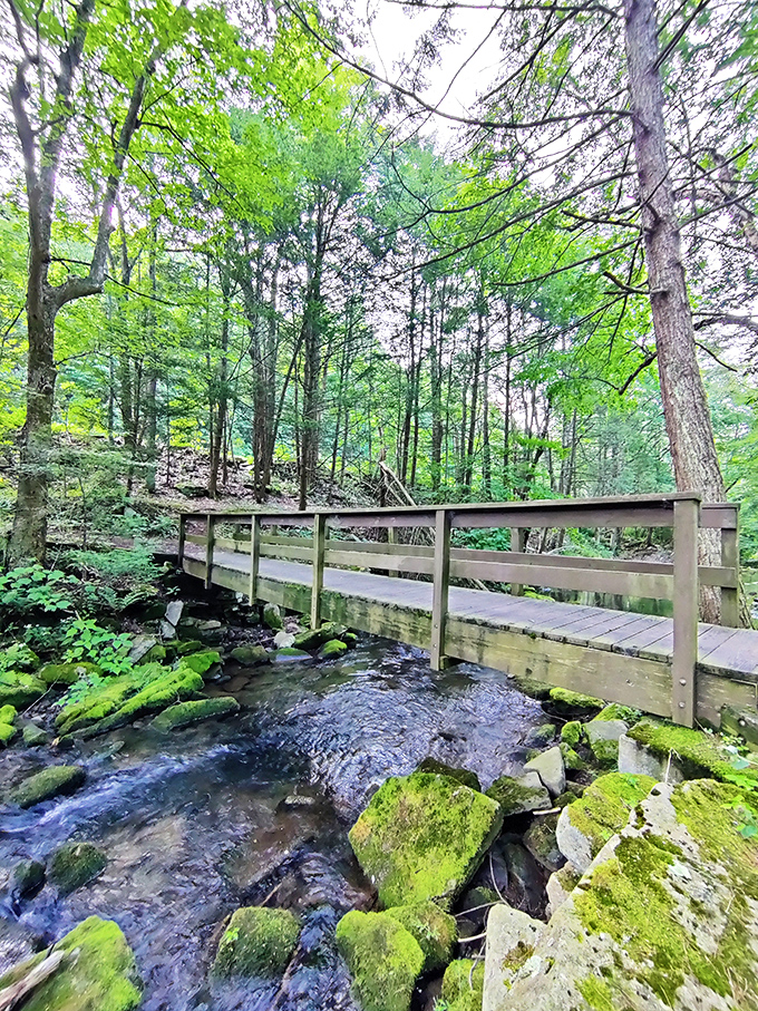 This wooden bridge isn't just crossing a stream &ndash; it's crossing into tranquility. Moss-covered rocks below create nature's version of a Japanese garden.
