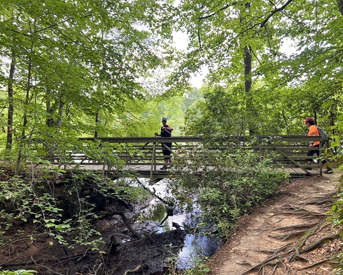 Crossing this bridge feels like stepping into a scene from "A River Runs Through It," minus Brad Pitt but with all the natural splendor.