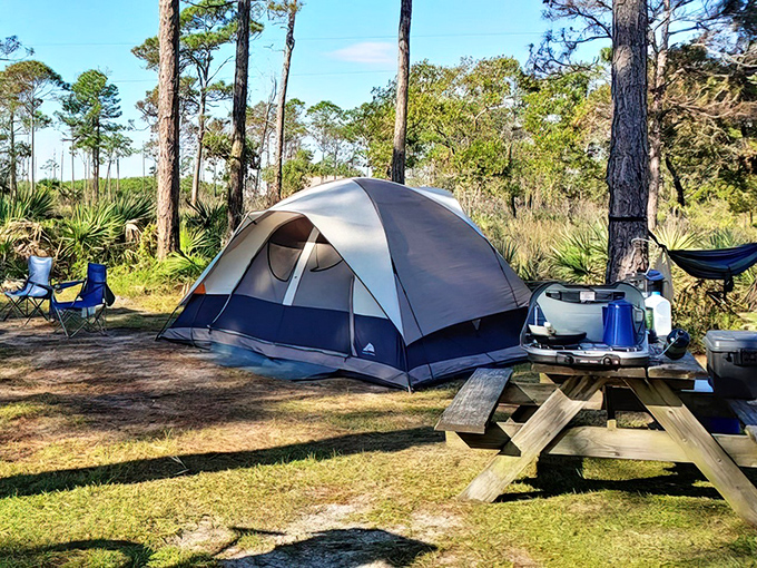 Home sweet temporary home. This campsite offers the perfect balance between wilderness immersion and not having to sleep directly on pinecones.