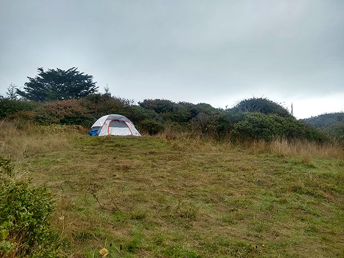 Camping with a side of fog &ndash; the authentic Northern California experience where your morning coffee comes with atmospheric drama.