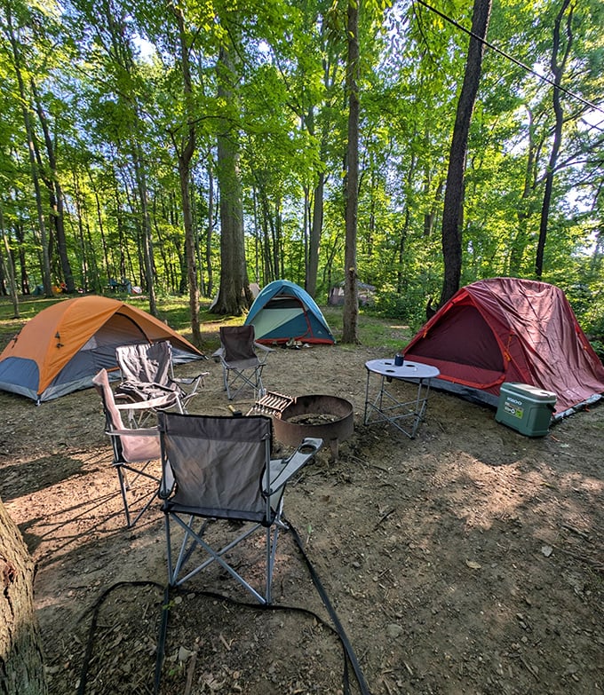 Camping nirvana: where three colorful tents and a fire ring promise stories that'll last longer than your phone battery. Unplug and unwind.