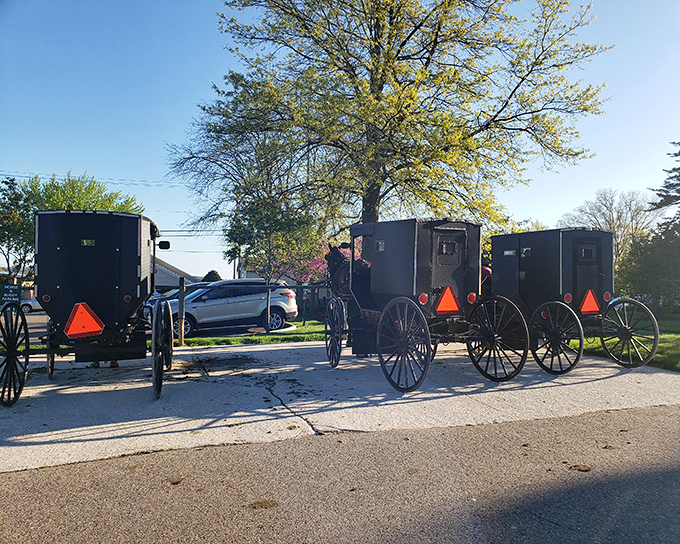Horse-drawn carriages remind you that the best things in life never needed an app.