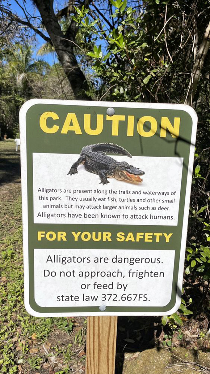 Florida's version of a friendly neighborhood welcome sign. The locals have teeth, and they're not afraid to use them.